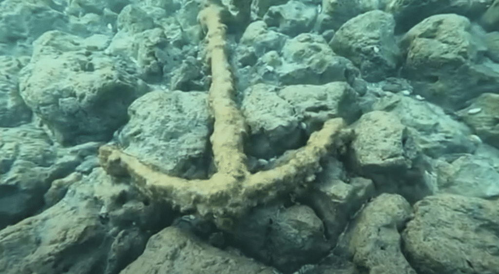 Diver Pulls 900-Year-Old Crusader Sword From Ocean Floor