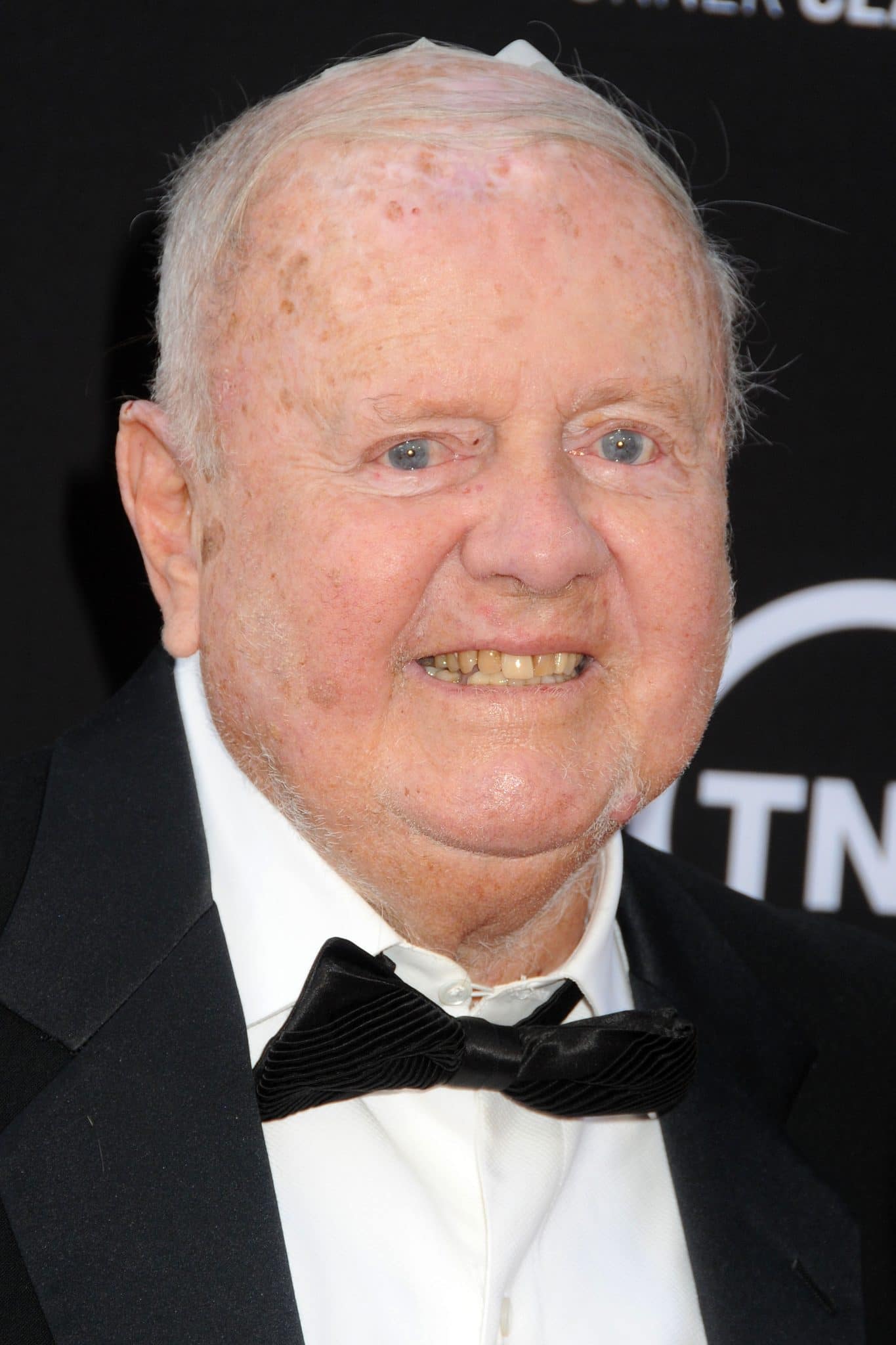 'Eight Is Enough's Dick Van Patten Became An Animal Welfare Advocate ...