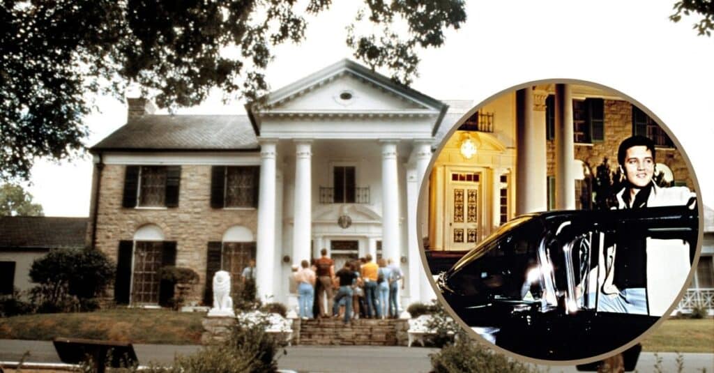 Elvis Presley Brought Donkeys Into His Graceland Swimming Pool