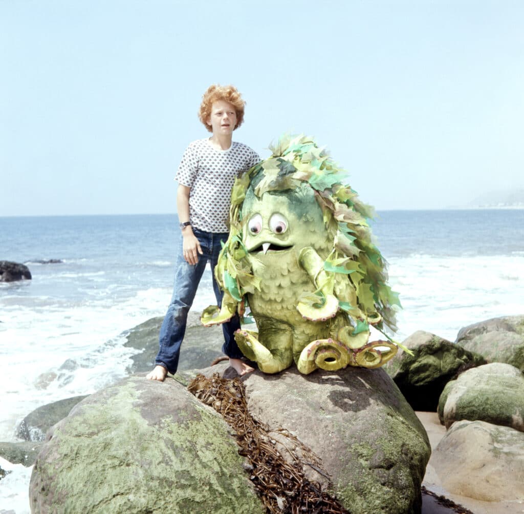 Johnny Whitaker From 'Family Affair' Is 62 And Helps Others Combat ...