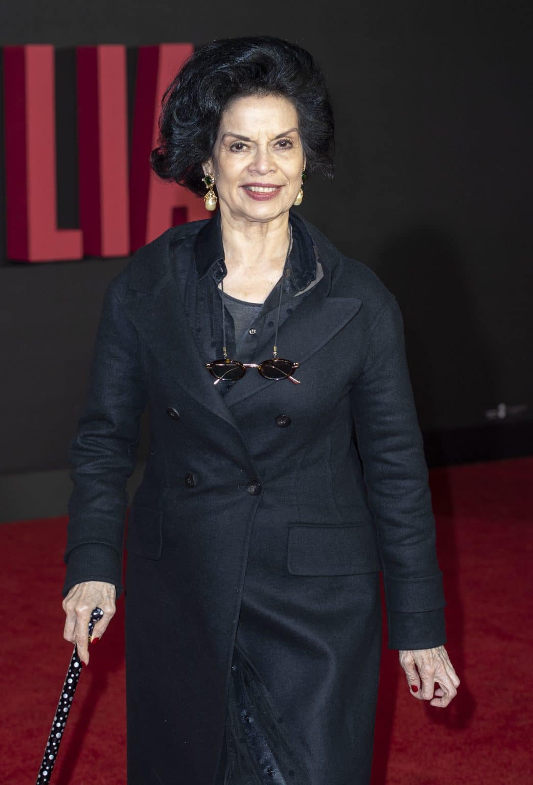 At 76, Party Icon Bianca Jagger Is A Great-Grandmother Fighting For ...