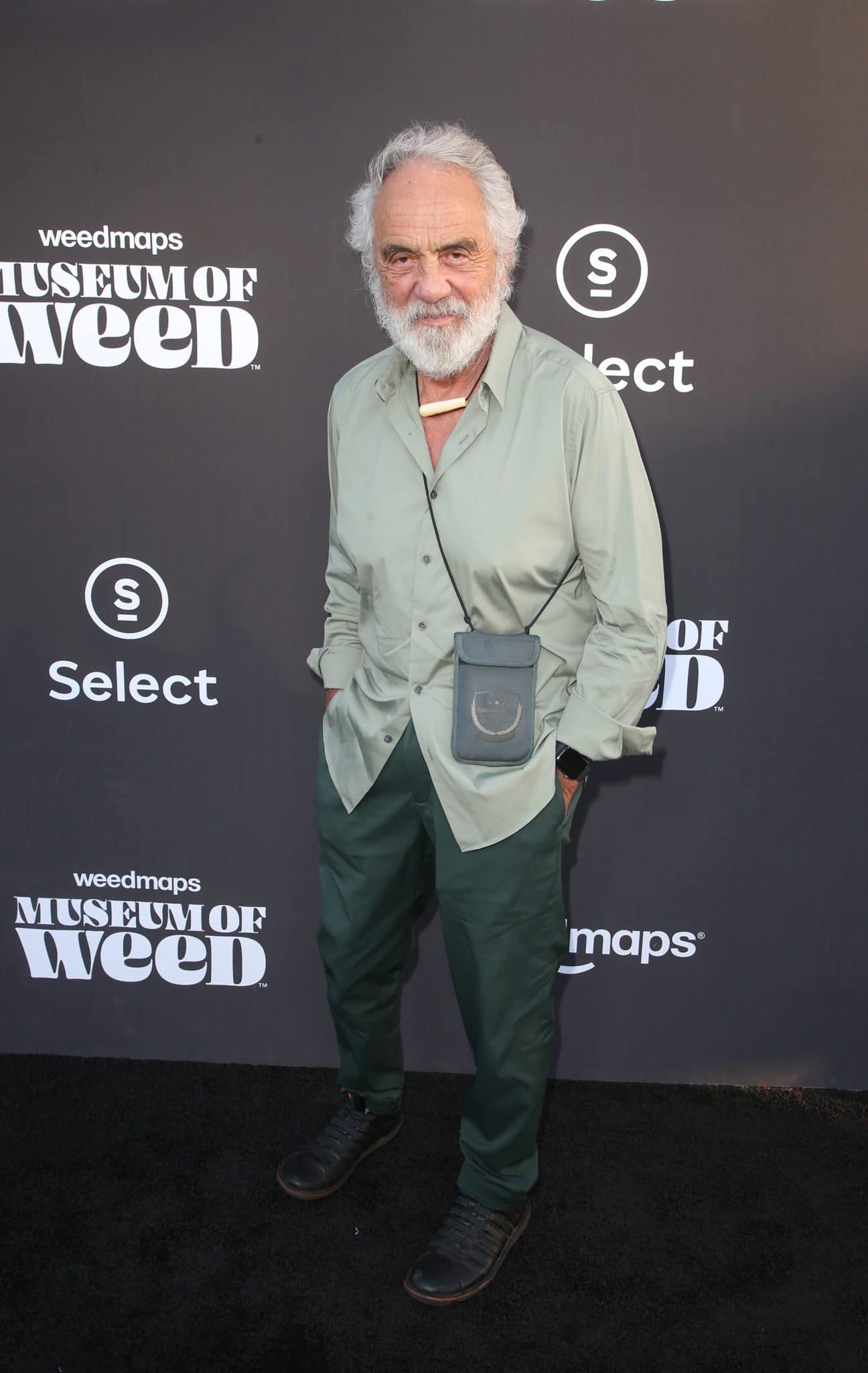 Tommy Chong Will Reprise His '70s Show' Role In Sequel Series 'That ...