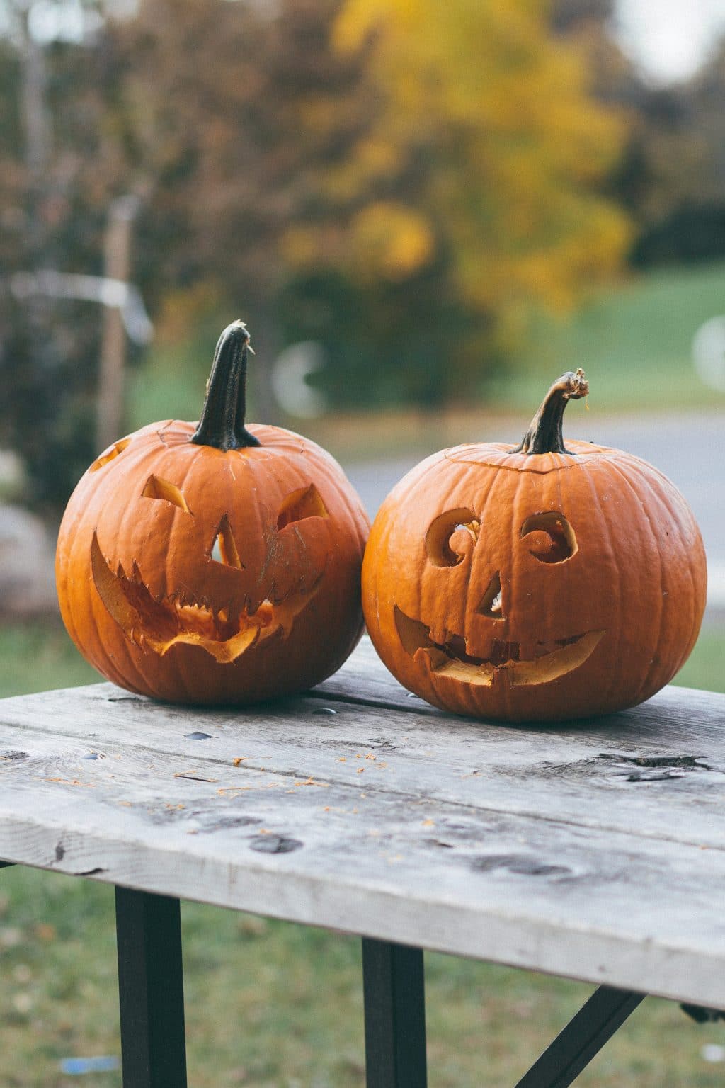 Which State Is The Pumpkin Capital Of America And By How Much?