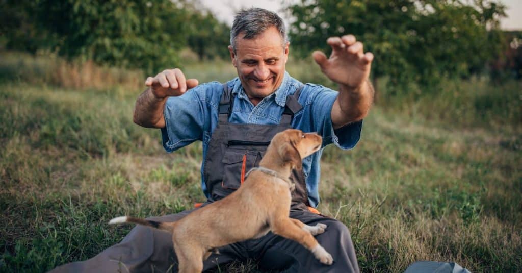 Owner Of World’s Oldest Living Dog, Gino, Gives Advice To Potential Pet ...