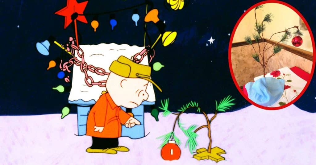 The Charlie Brown Christmas Tree Is More Popular Than Ever This Year