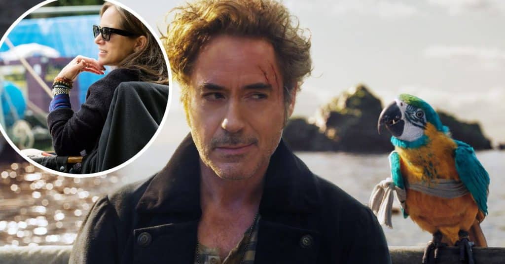 How Robert Downey Jr.'s Wife Got Him To Become Sober For Good