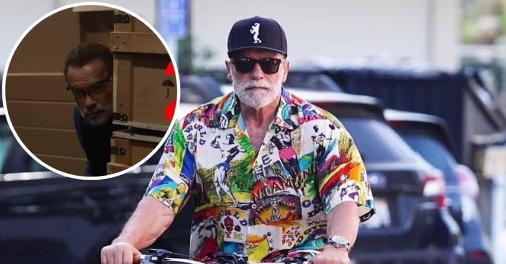 Arnold Schwarzenegger Teams Up With 'Top Gun: Maverick' Star For New ...