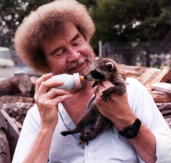 What Happened To Steve Ross, The Son Of Bob Ross? | DoYouRemember?
