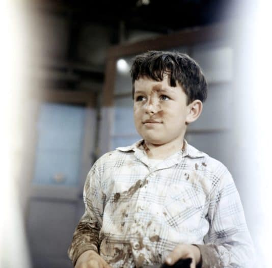 Jerry Mathers Opens Up About His Decision To Leave Acting