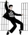 Elvis Presley Was Almost A Beloved Character In 'Grease'