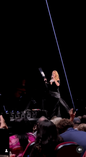Adele Warns Concertgoers Who Throw Objects At Her On Stage