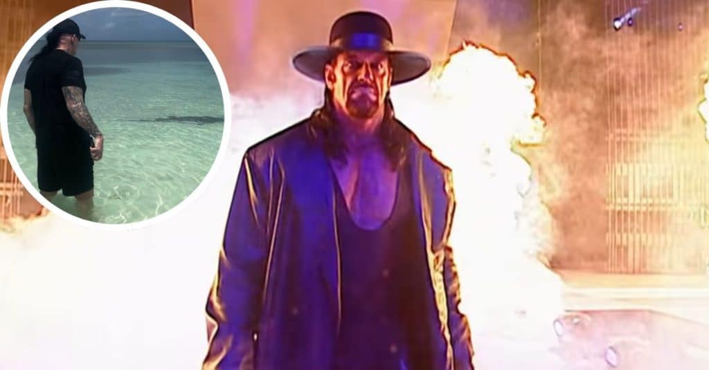 WATCH: WWE Legend The Undertaker Stares Down A Shark Swimming Near His Wife