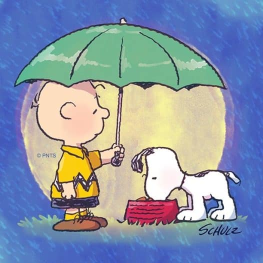 Real-Life Snoopy, Named Bayley, Has The Internet Swooning