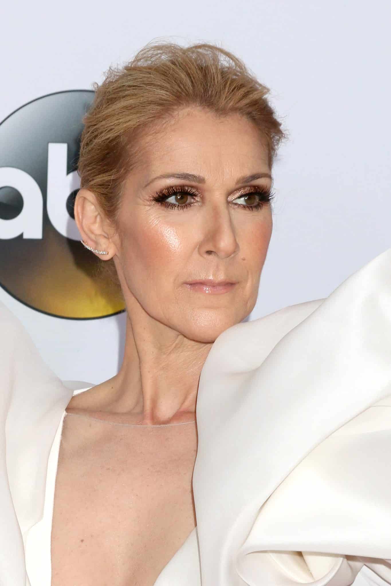 Celine Dion's Sister Shares Somber Update On Singer's Health Battle