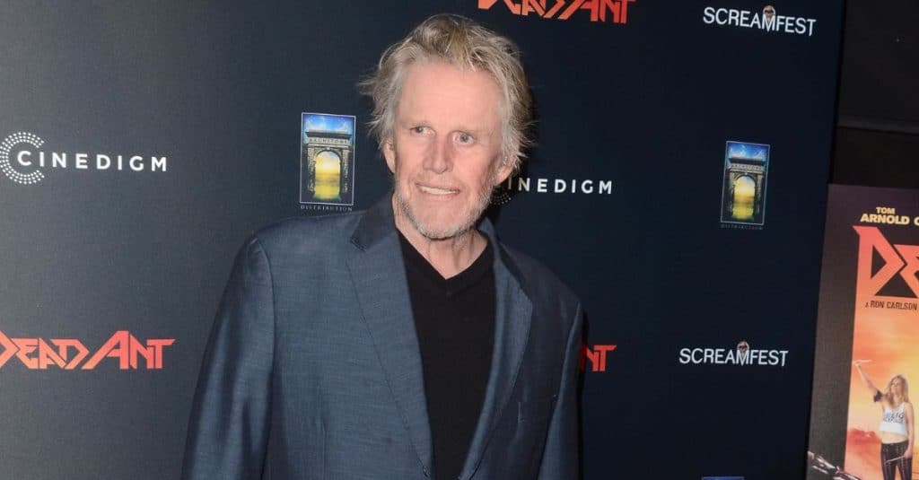 Gary Busey Accused Of Hit-And-Run, Chased By Alleged Victim