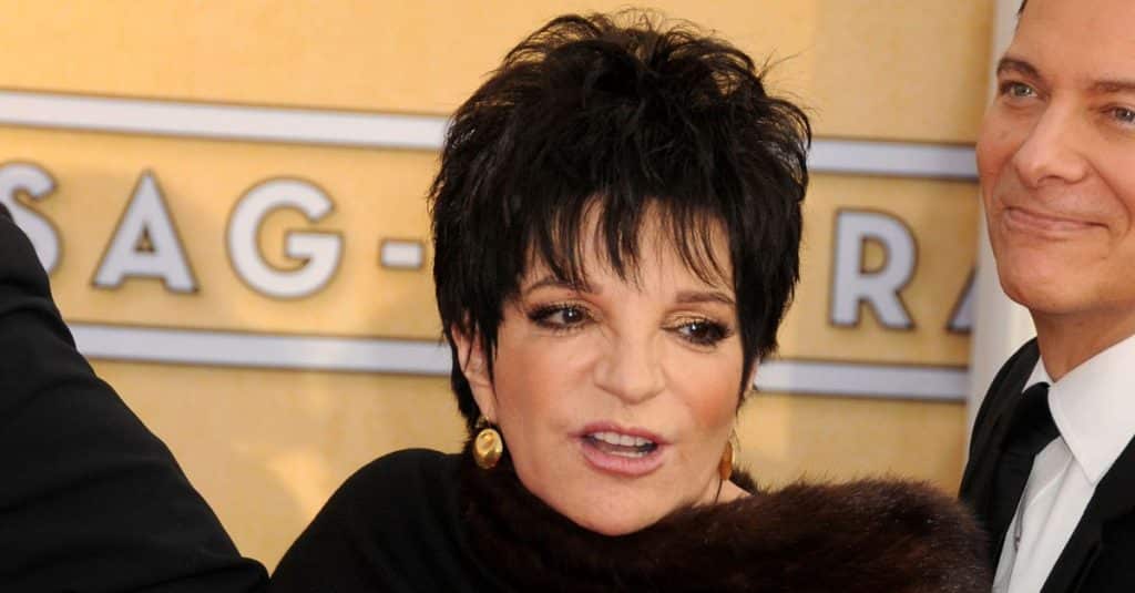 Liza Minnelli's Friends & Family Worry As She Now Lives In Isolation