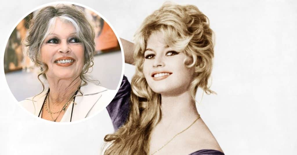 89-Year-Old Brigitte Bardot Spotted In Rare Outing Following Health ...