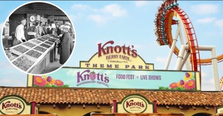 100-Year-Old Knott’s Berry Farm, Beloved Jam and Cookie Brand, Being ...