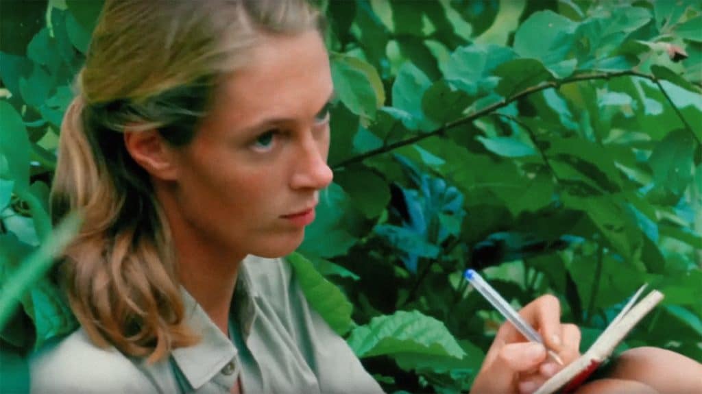 Jane Goodall Celebrates Her 90th Birthday By Sharing Her Greatest Wish