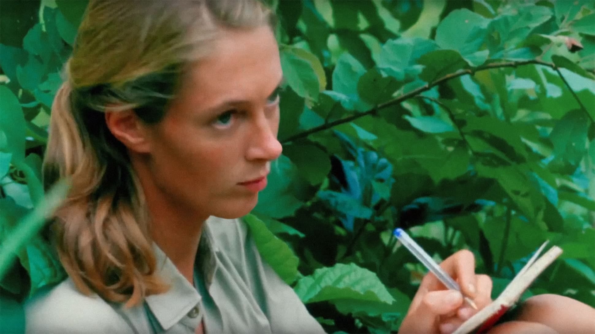 Jane Goodall Celebrates Her 90th Birthday By Sharing Her Greatest Wish