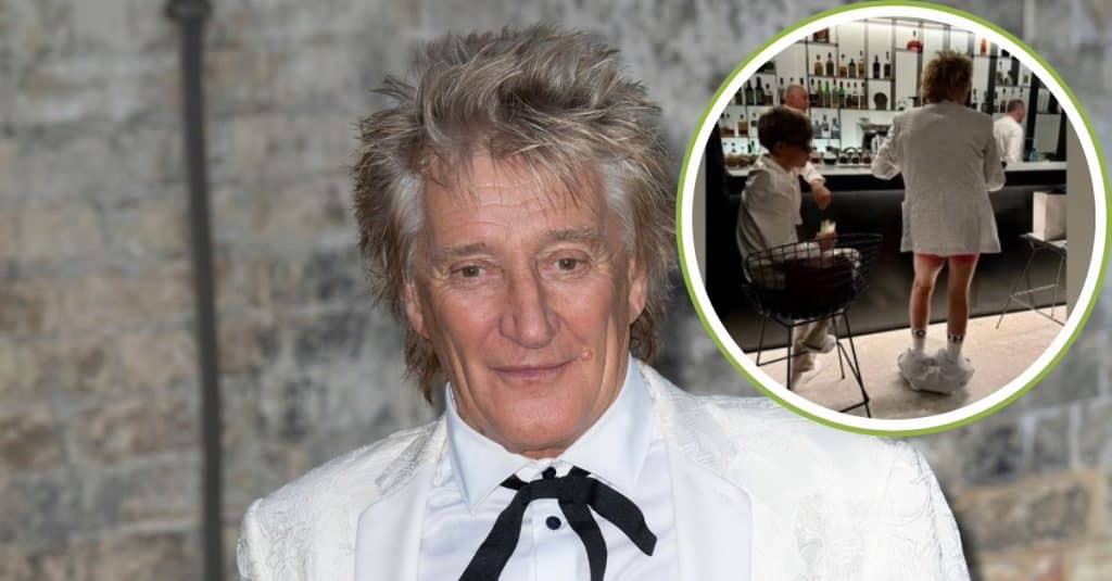 Rod Stewart Spotted With Pants Down At Bar After His Son’s Wedding ...