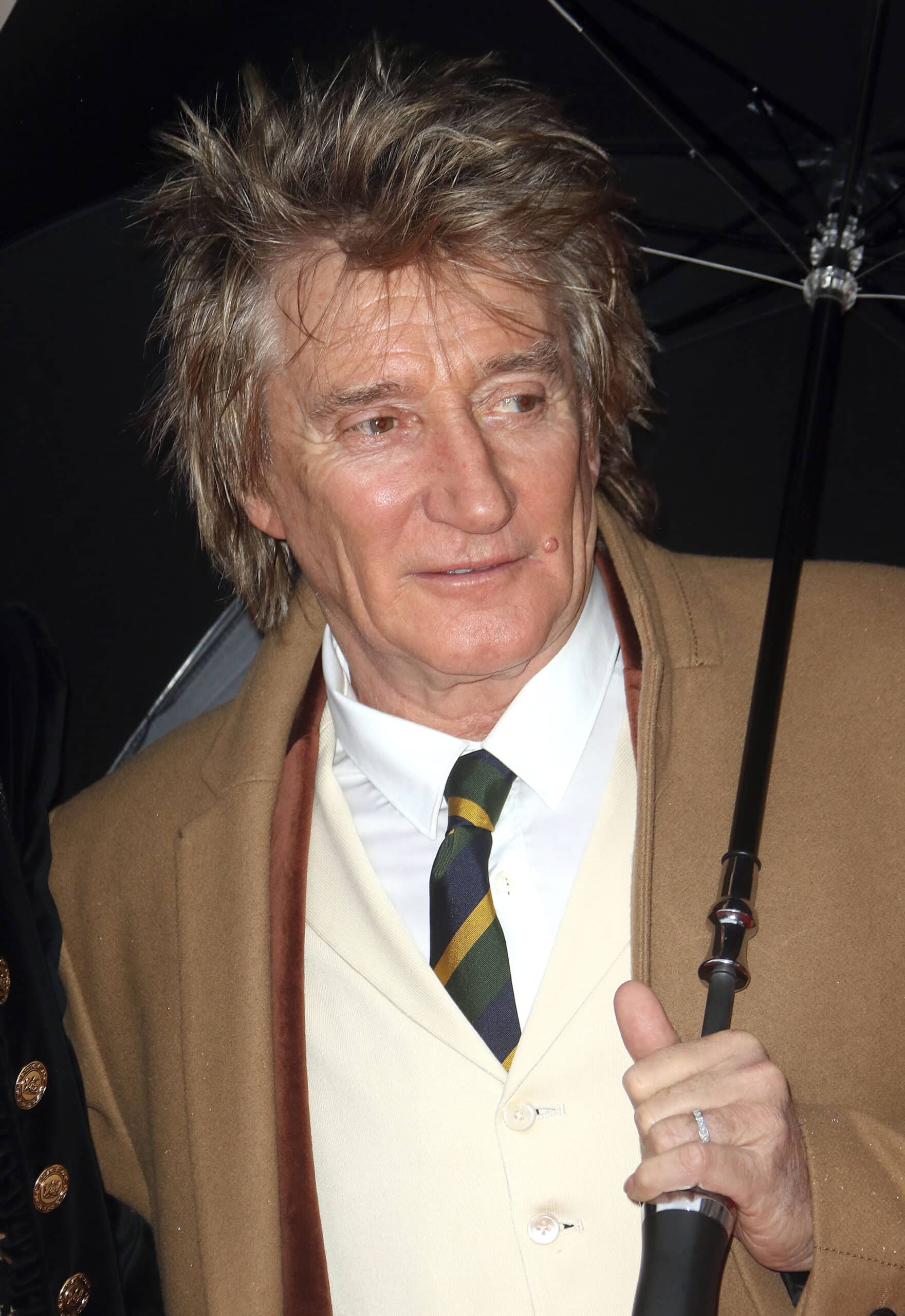 Rod Stewart Cancels 200th Vegas Concert Hours Before Show Amid Health Concern