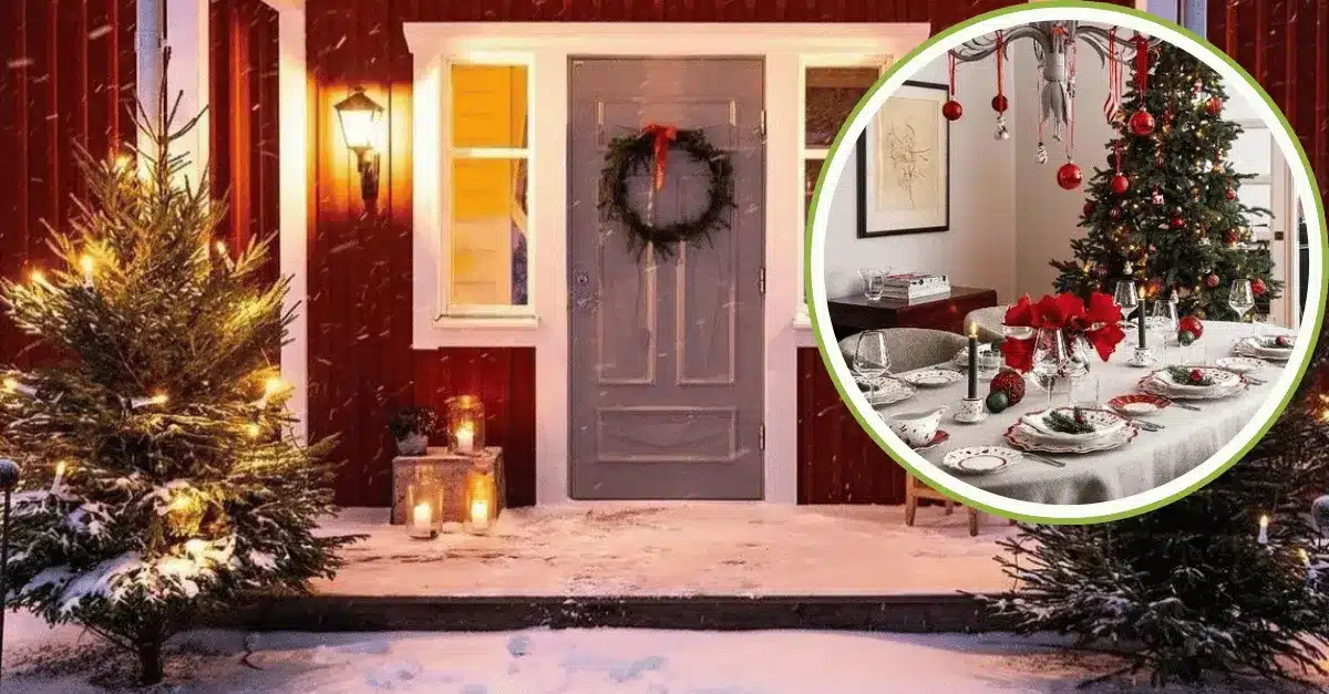 Take A Look At This Christmas Tree Personality Quiz