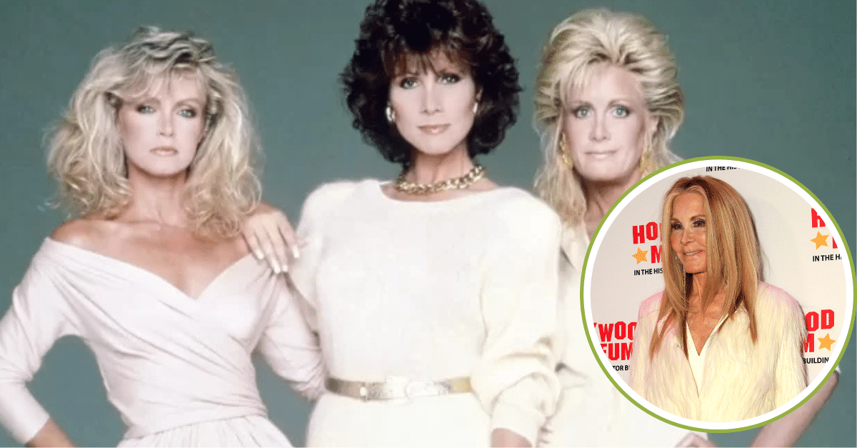 Where Is Joan Van Ark Now?