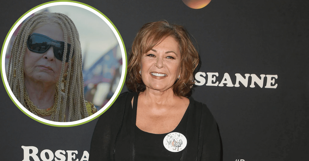Roseanne Barr's Appearance For New Song Leaves Fans In Awe