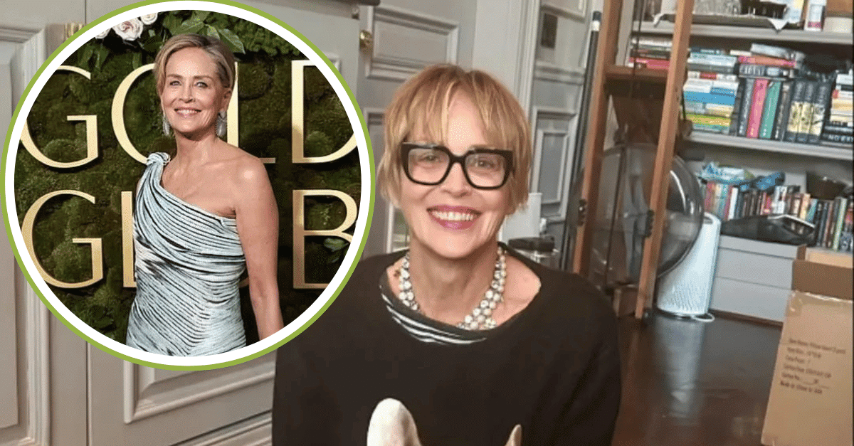Sharon Stone Grateful 24 Years After Surviving Brain Bleed