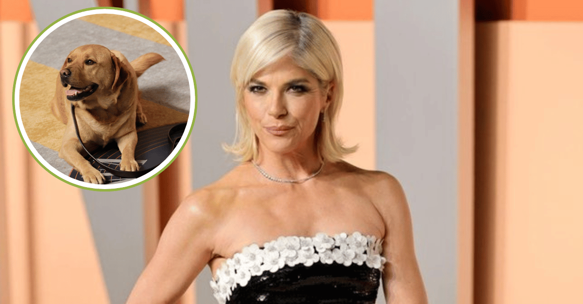 Selma Blair And Her Service Dog Shine At Oscars