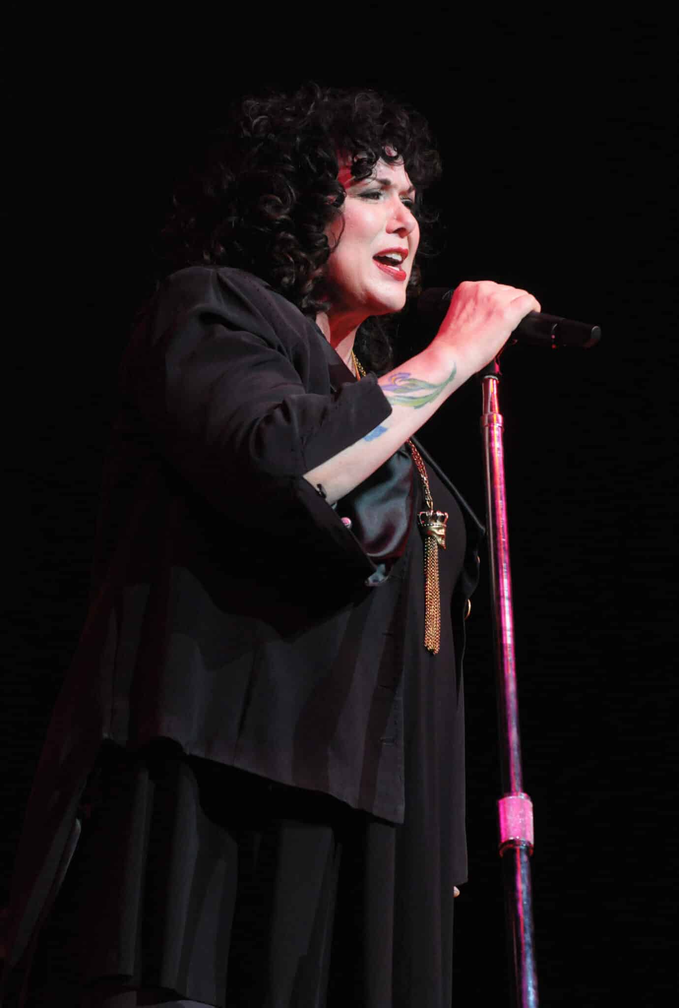 Ann Wilson Addresses Use Of A Wheelchair During Performances