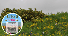 When Is The First Day Of Spring 2025?