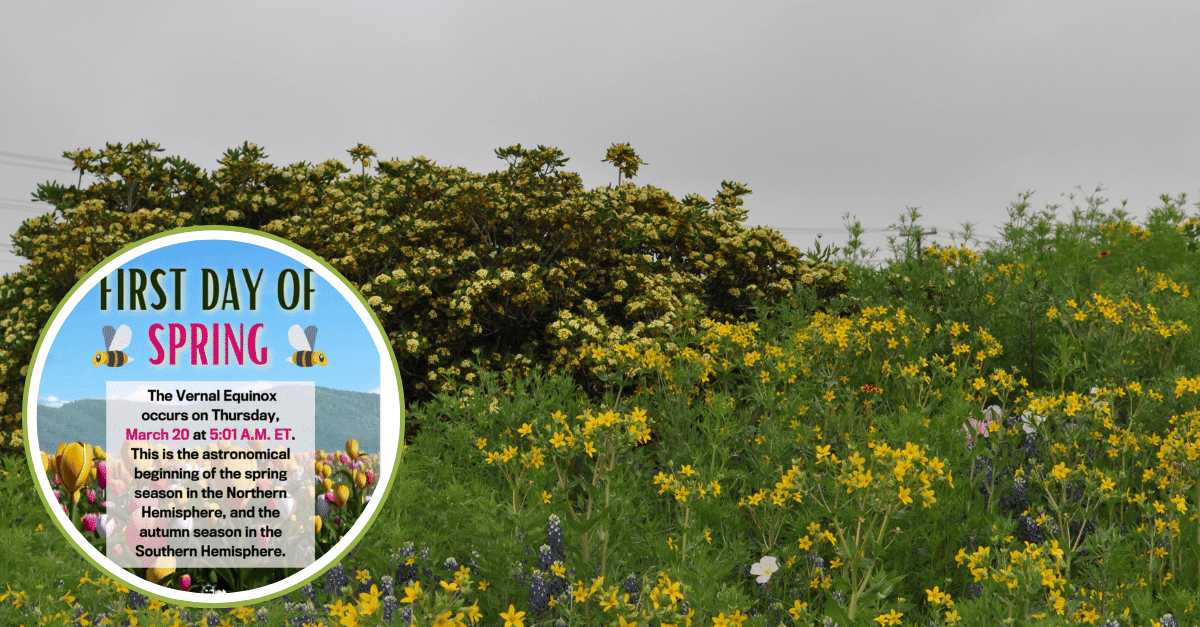 When Is The First Day Of Spring 2025?