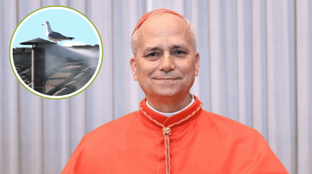 Who Is The New Pope 2025