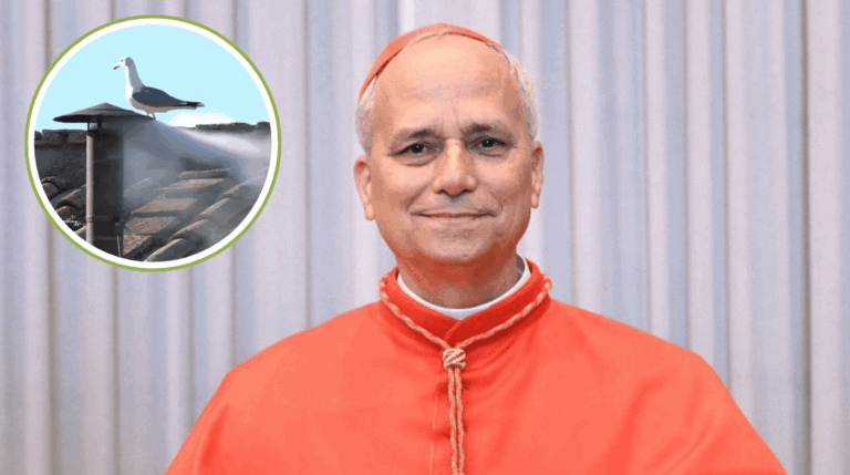 Who Is The New Pope 2025