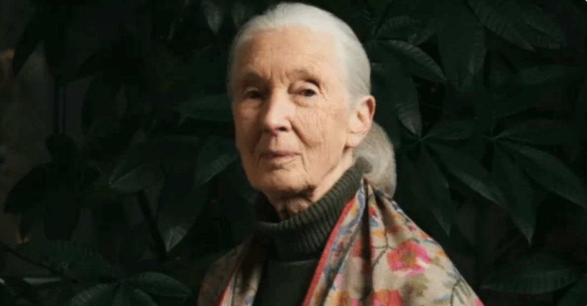Jane Goodall Shares Her Final Message Of Hope For The World