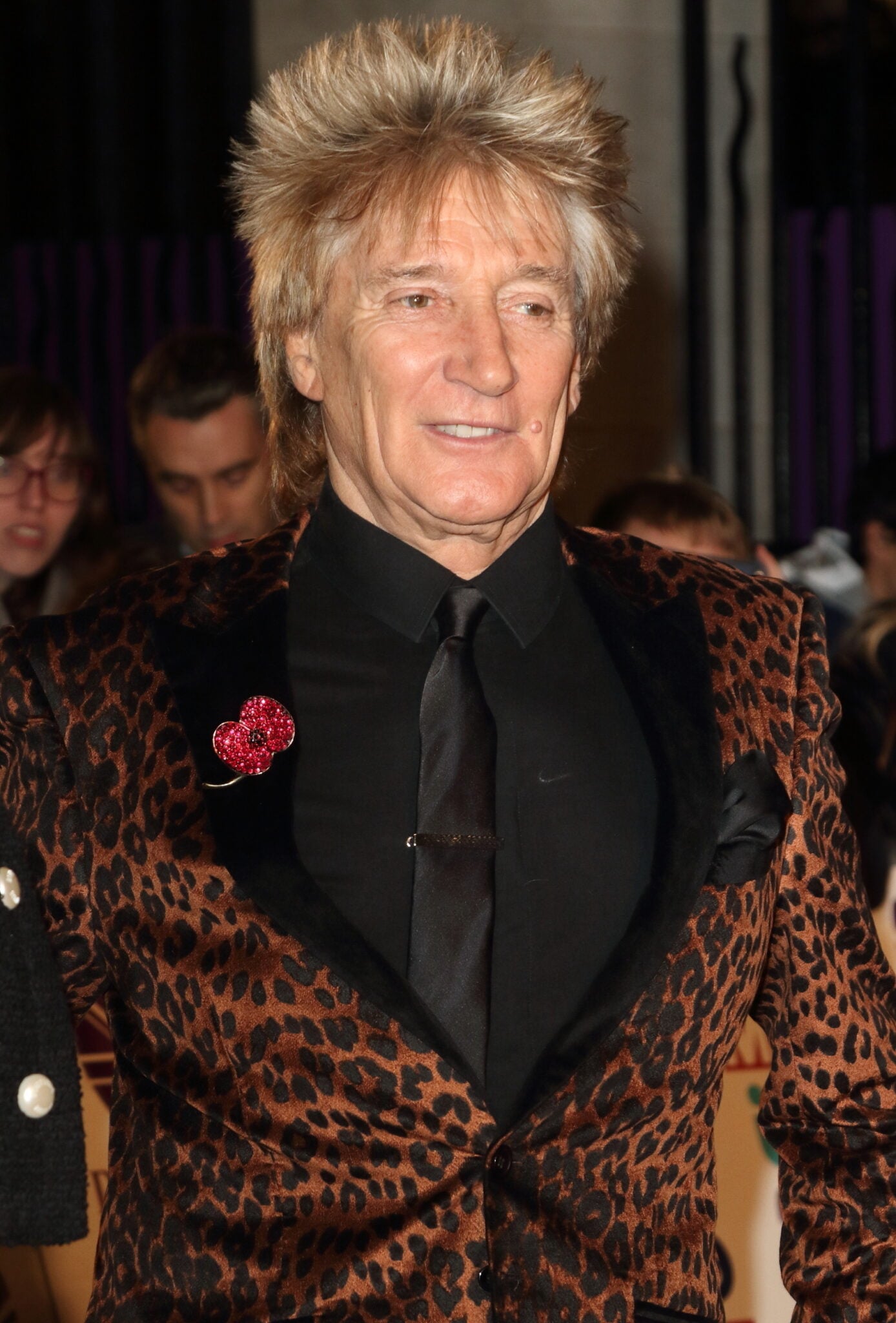 Rod Stewart Stops Show After Onstage Health Scare